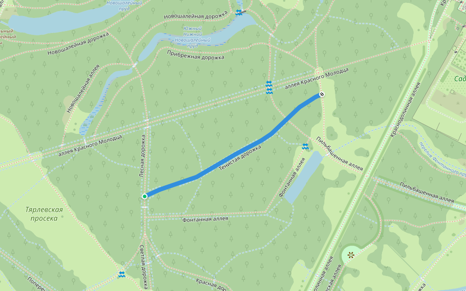 Shady path in Sankt-Peterburg | Walking Map