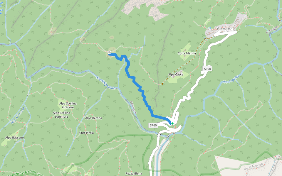 Montuzzo mule track Hiking - Piemonte | Pacer