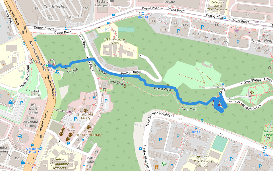 Forest Walk | Walking Map