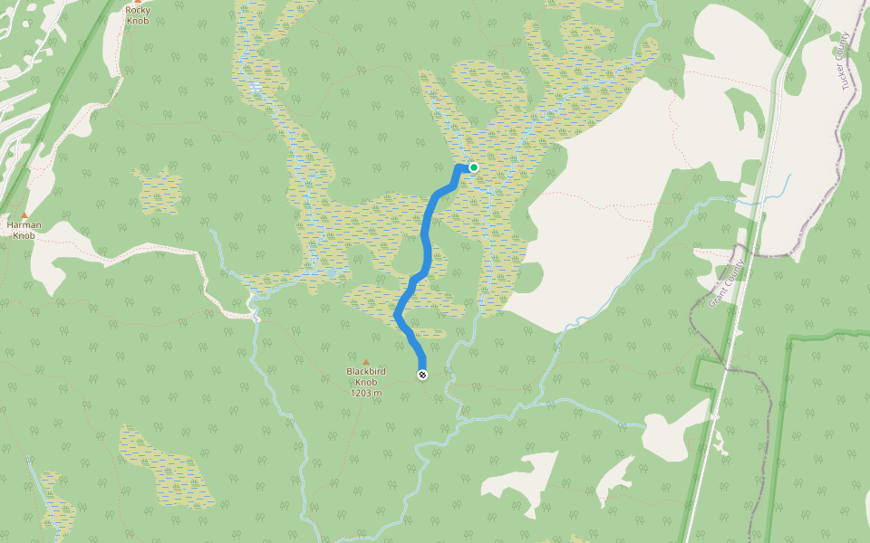 Upper Red Creek Trail in West Virginia | Walking Map
