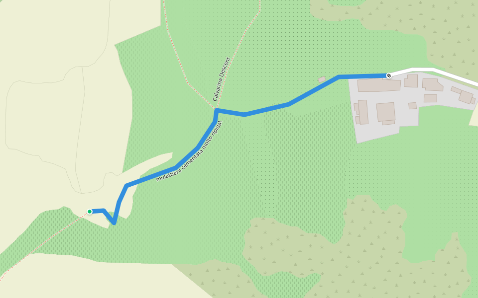Very steep cemented mule track! | Walking Map