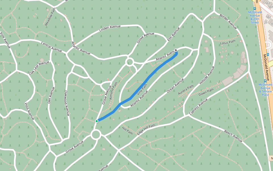 Vine Path in New York | Walking Map