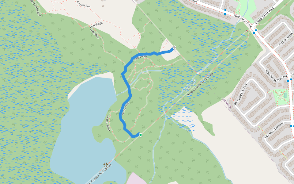 Forest walk in Ontario | Walking Map
