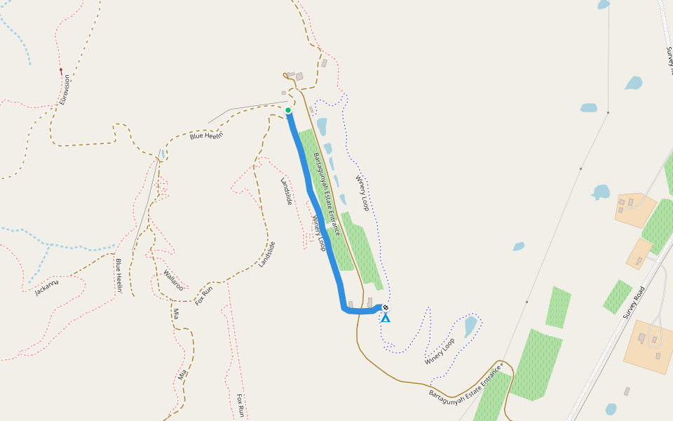 Winery Loop Hiking Trail - Melrose, South Australia | Pacer