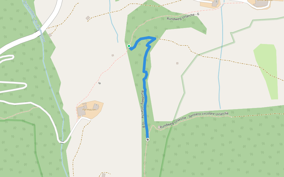 Ancient larch circular route - 10 B Walking And Running Trail ...
