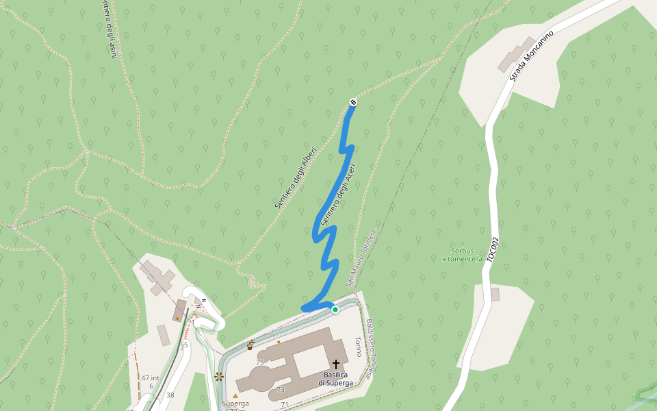 Maple Trail Walking and Running - Superga, Piemonte | Pacer