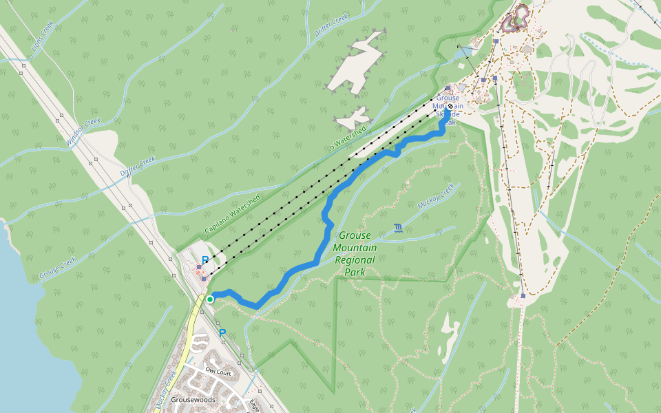 Grouse Grind Hiking Trail - North Vancouver, British Columbia | Pacer