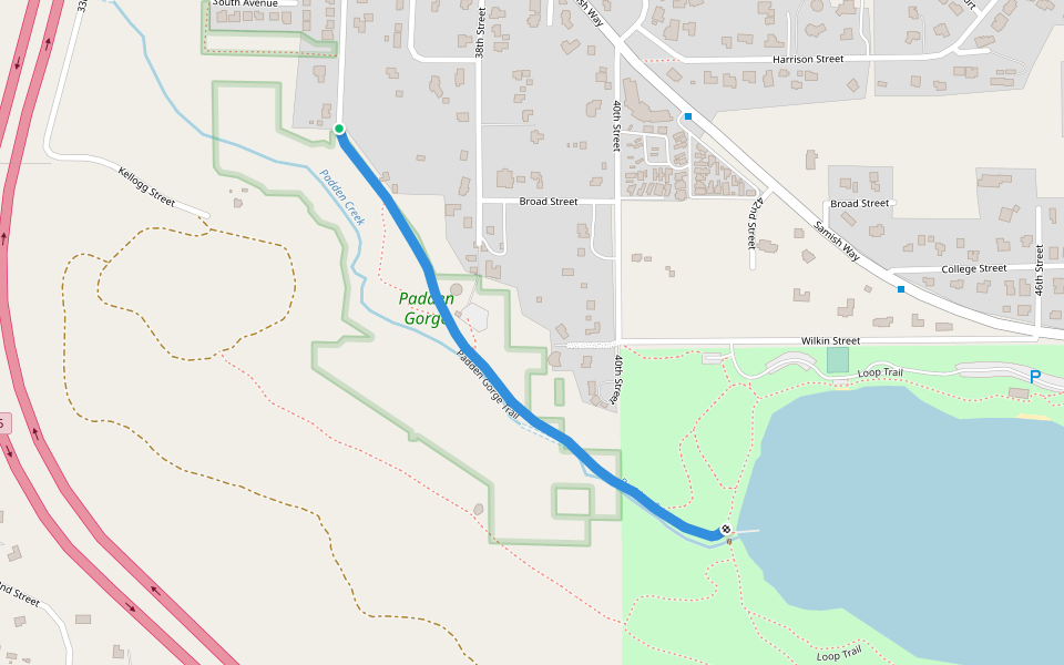 Padden Gorge Trail Hiking - Bellingham, Washington | Pacer