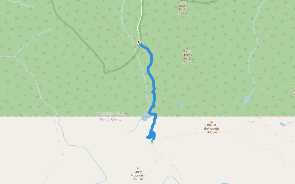 Pansy Lake Trail #551 | Walking Map