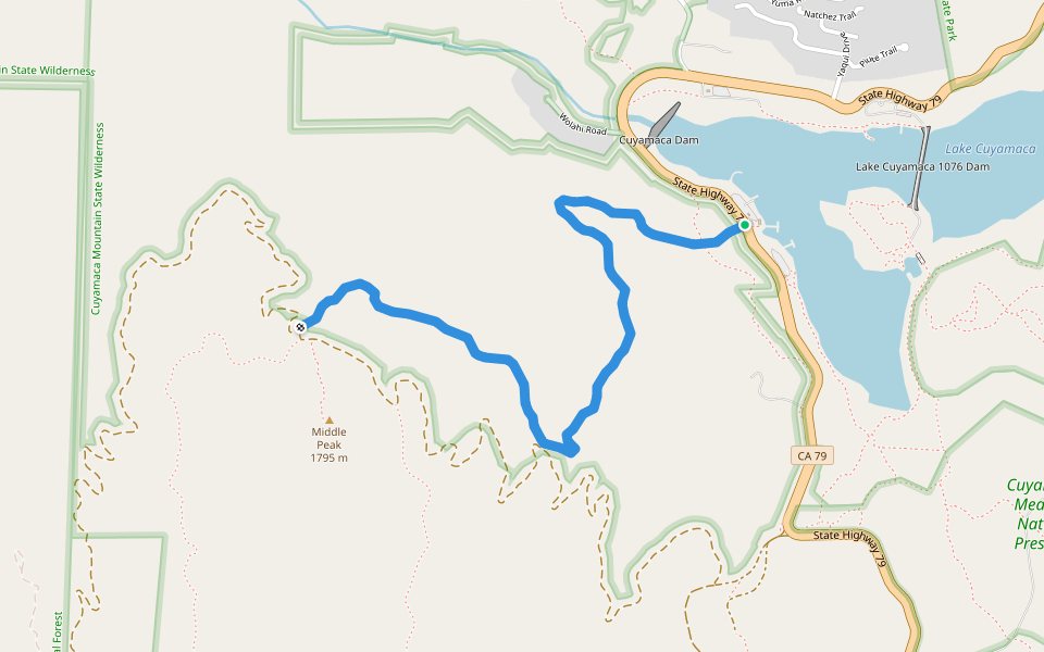 Sugar Pine Trail Hiking - Julian, California | Pacer