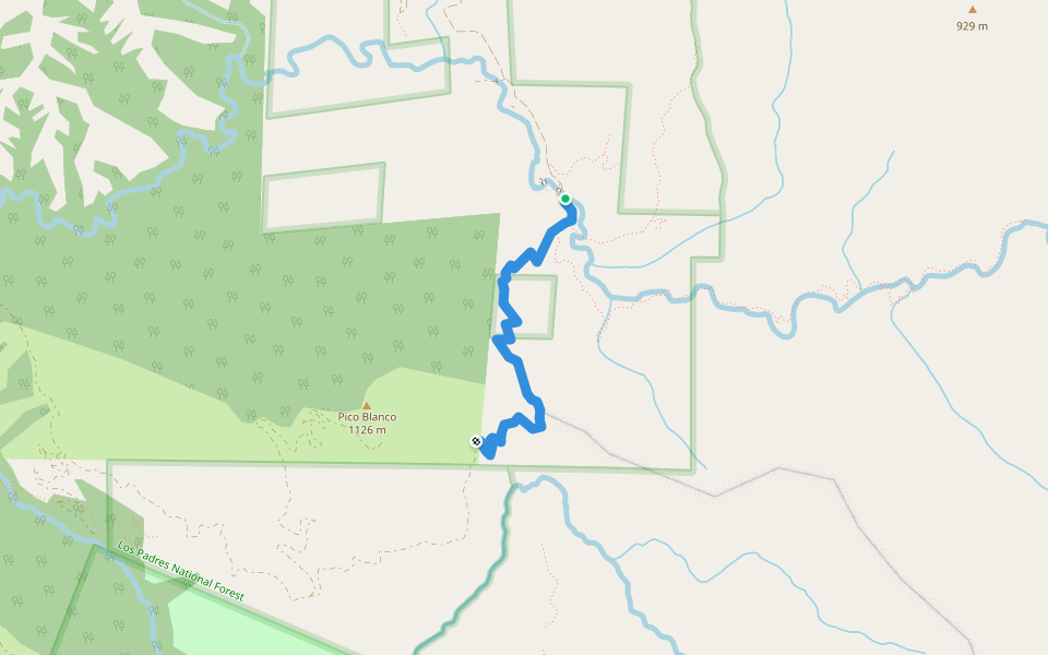 White Peak Trail Hiking - Carmel-by-the-Sea, California | Pacer