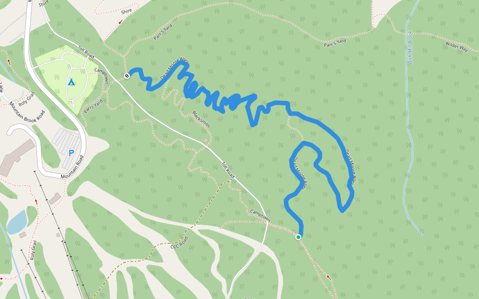Dead Moose Alley Hiking Trail - Burke, Vermont | Pacer