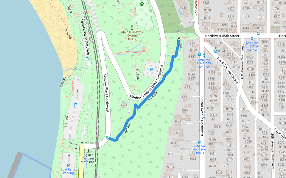Trail #5 Hiking - Seattle, Washington | Pacer