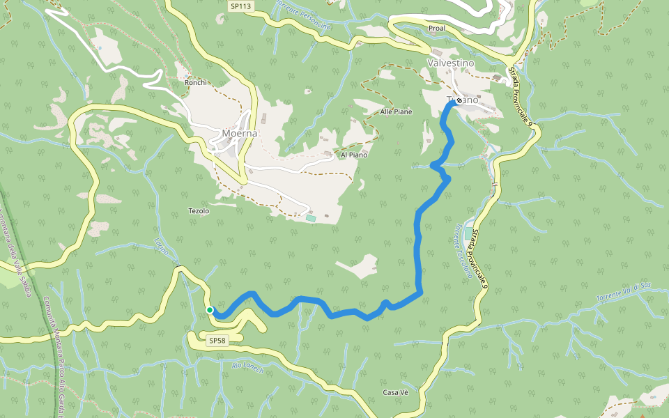 Cedrine path Hiking Trail - Lombardia | Pacer