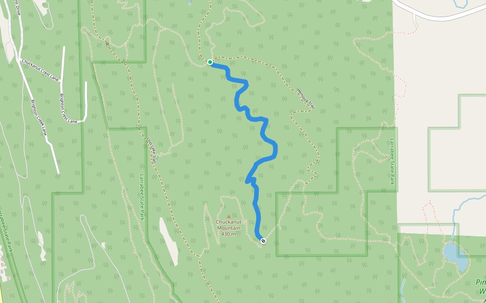 Huckleberry trail Hiking - Bellingham, Washington | Pacer