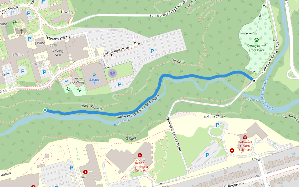 Burke Brook Ravine Boardwalk Trail - Toronto, Ontario | Pacer