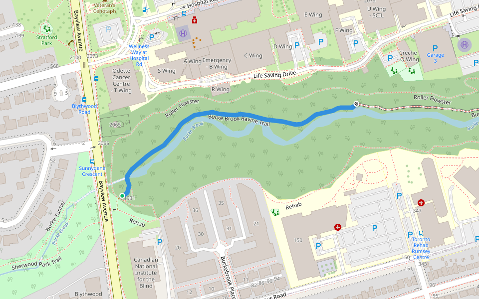 Burke Brook Ravine Trail Walking and Running - Toronto, Ontario | Pacer