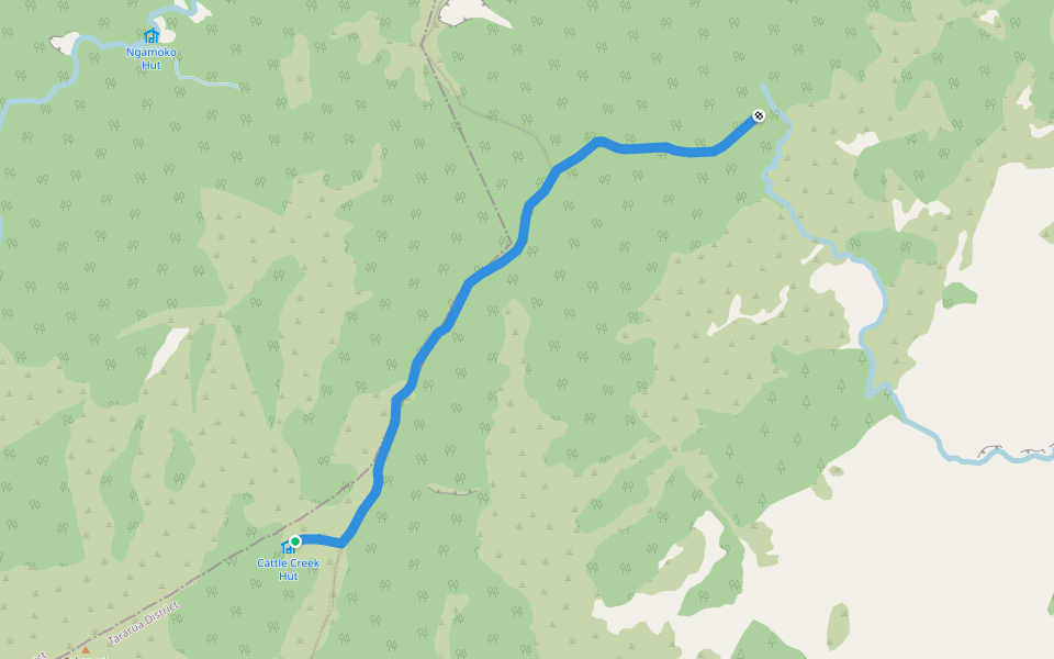 Cattle Creek Hut Turnoff To Birch Whare Hiking Trail - Matamau ...