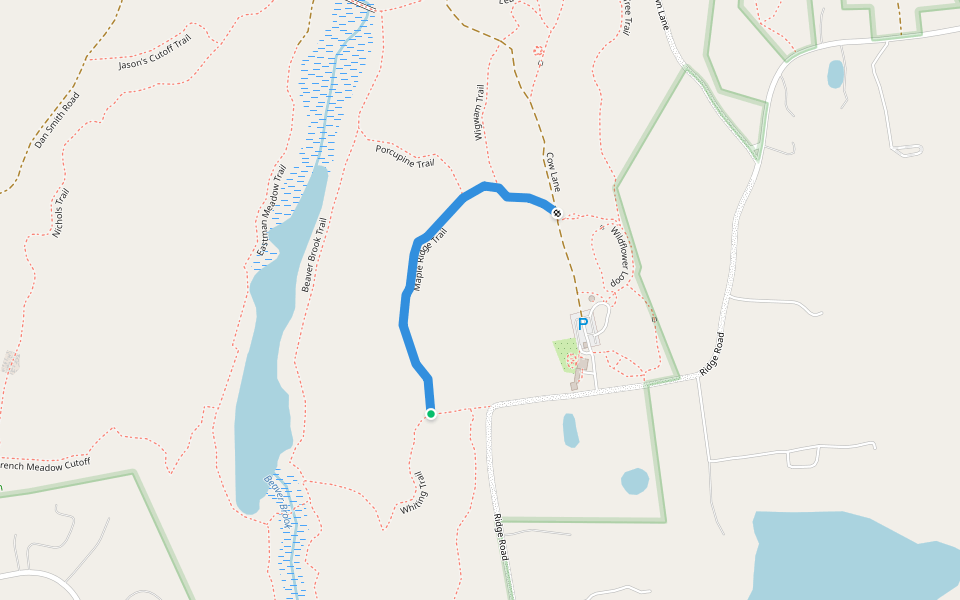 Maple Ridge Trail Walking and Running - Hollis, New Hampshire | Pacer