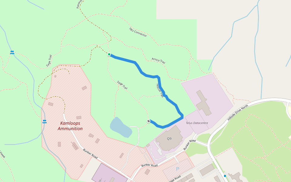 Fescue Trail Hiking - Kamloops, British Columbia | Pacer