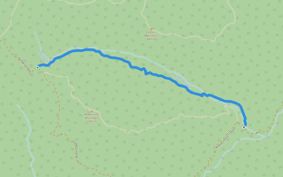 Corbin Hollow Trail Hiking - Syria, Virginia | Pacer