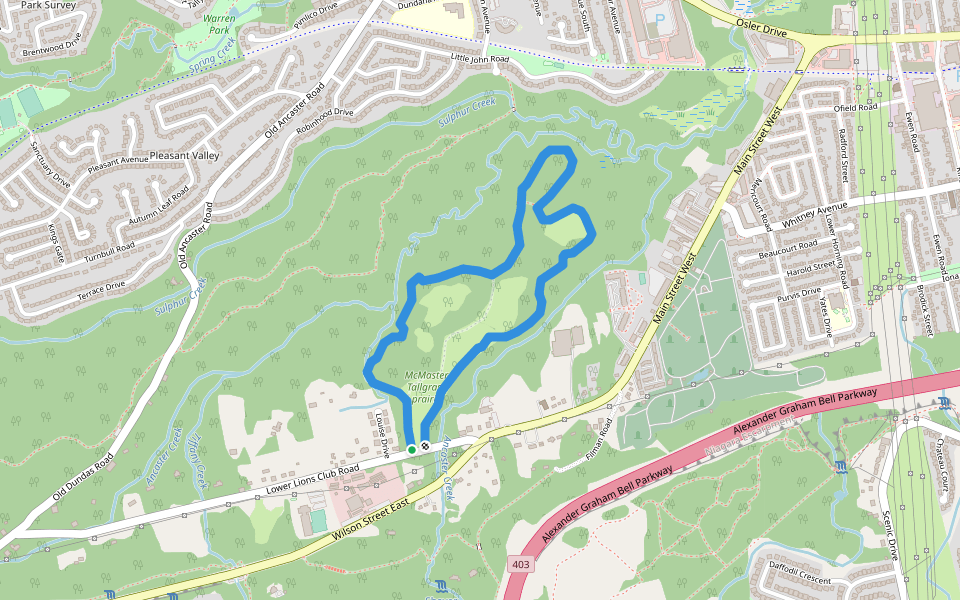 McMaster forest trail in Ontario | Walking Map