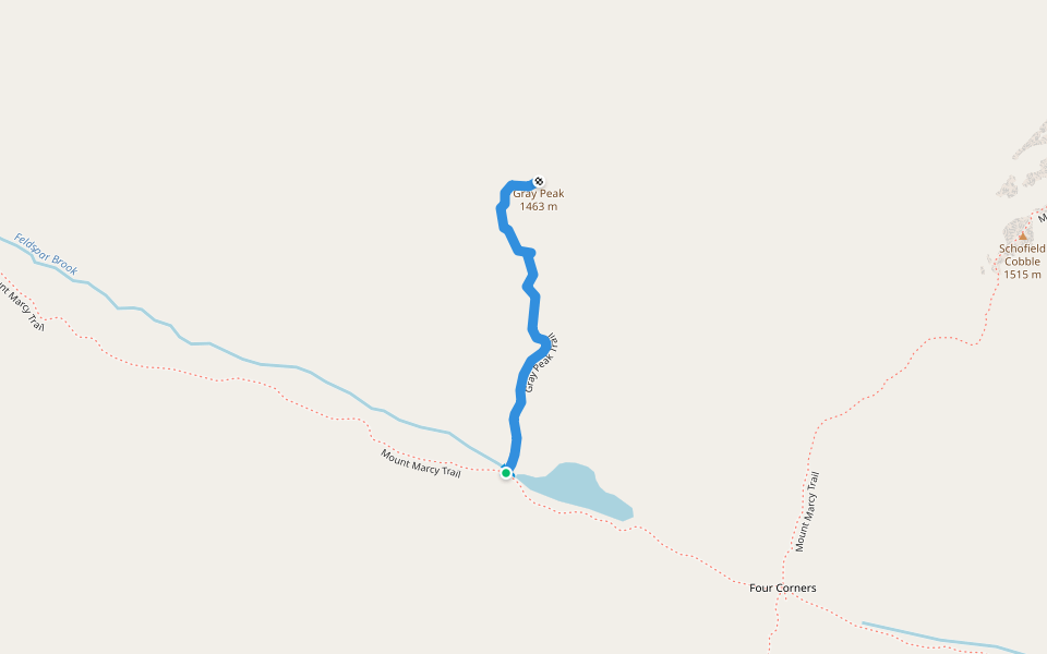 Gray Peak Trail Hiking - Tahawus, New York | Pacer