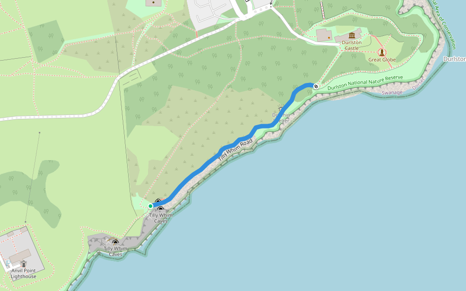 Tilly Whim Road Hiking - England | Pacer