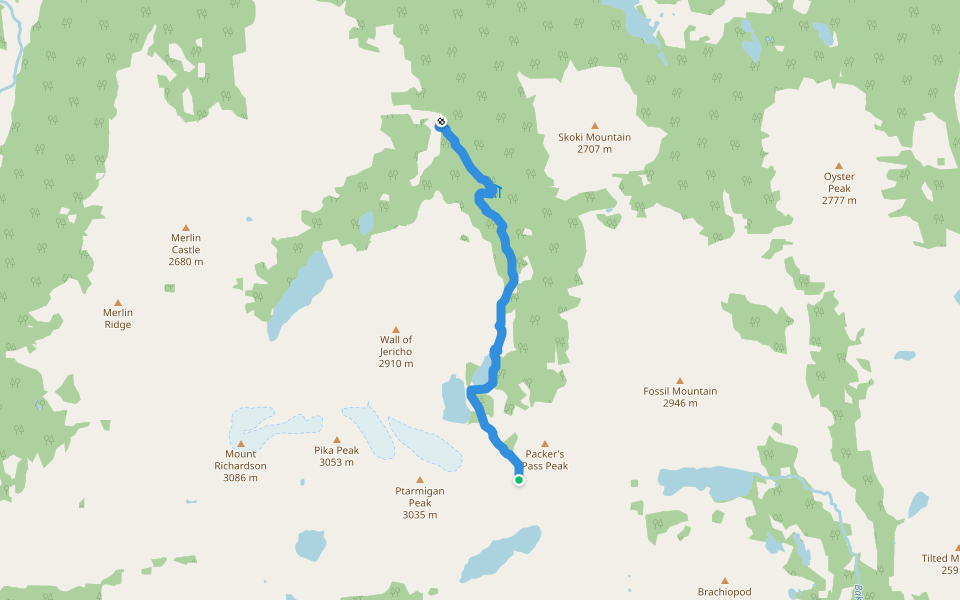 Skoki Mountain Approach Hiking Trail - Alberta | Pacer