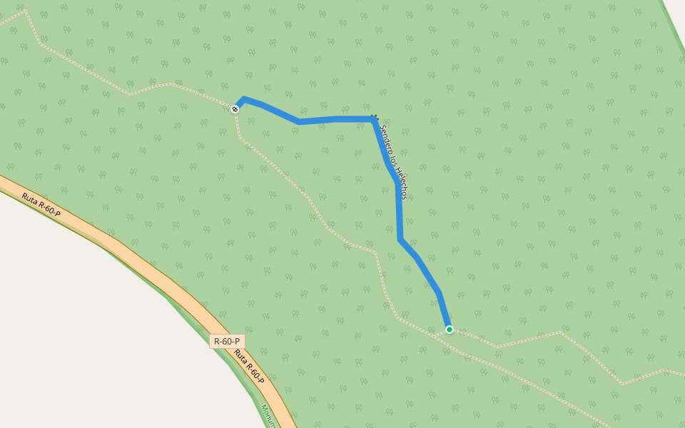 Fern Trail | Walking Map