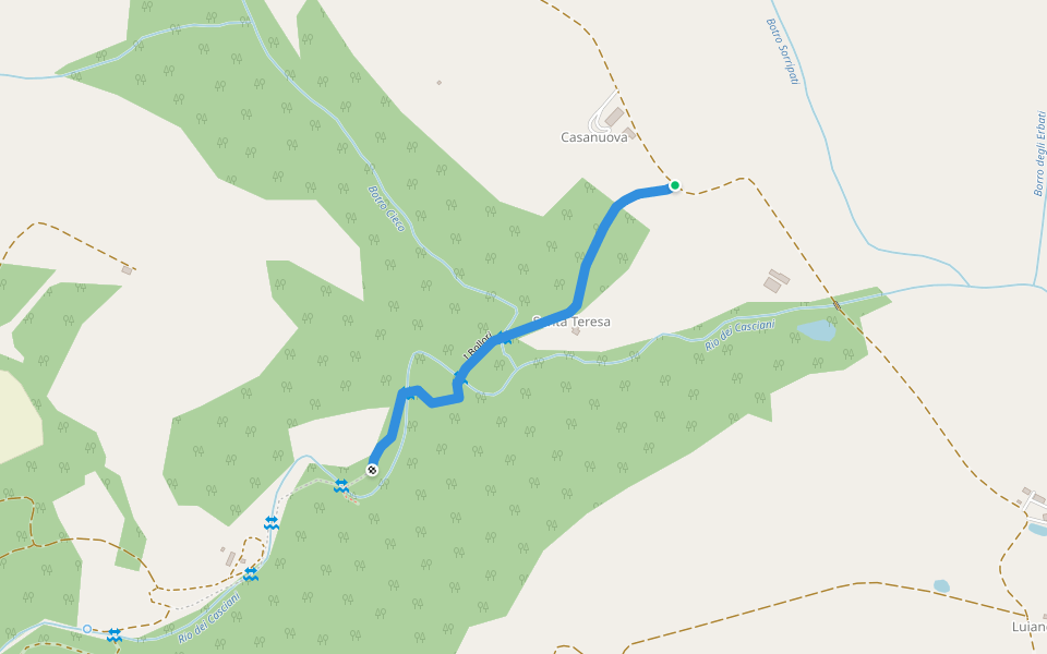 The Bollori Walking And Running Trail - Toscana | Pacer