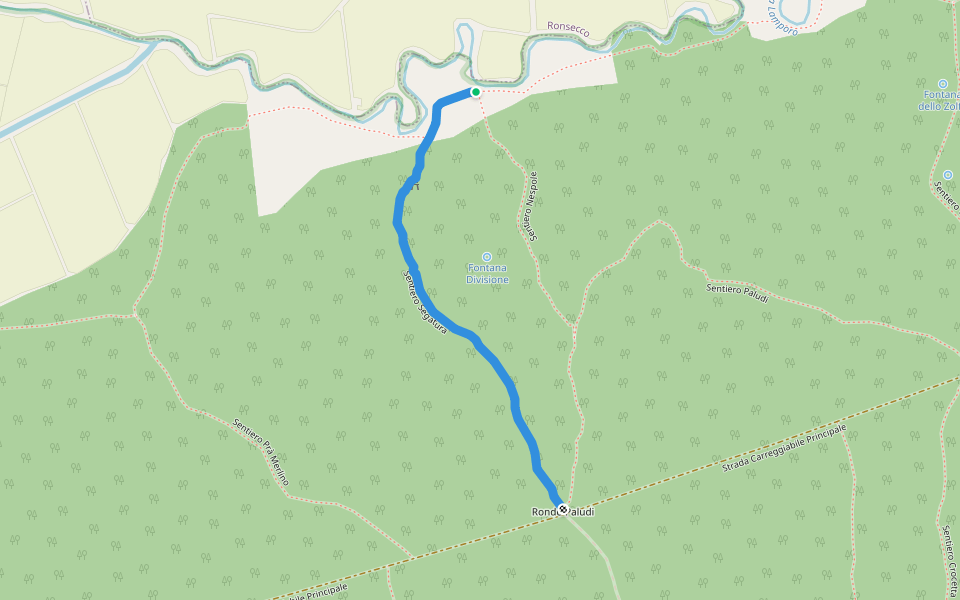 Sawdust Trail Hiking - Piemonte | Pacer