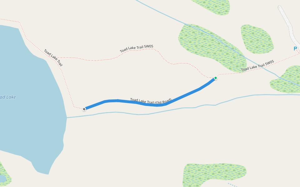 Toad Lake Trail (Old Road) Walking and Running - Mount Shasta ...