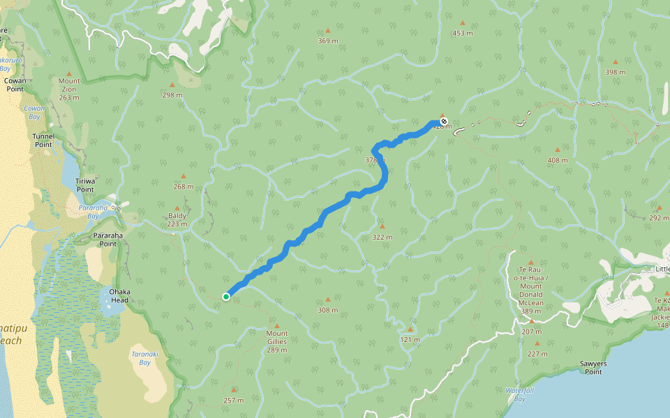 Walker Ridge Track - Auckland | Pacer