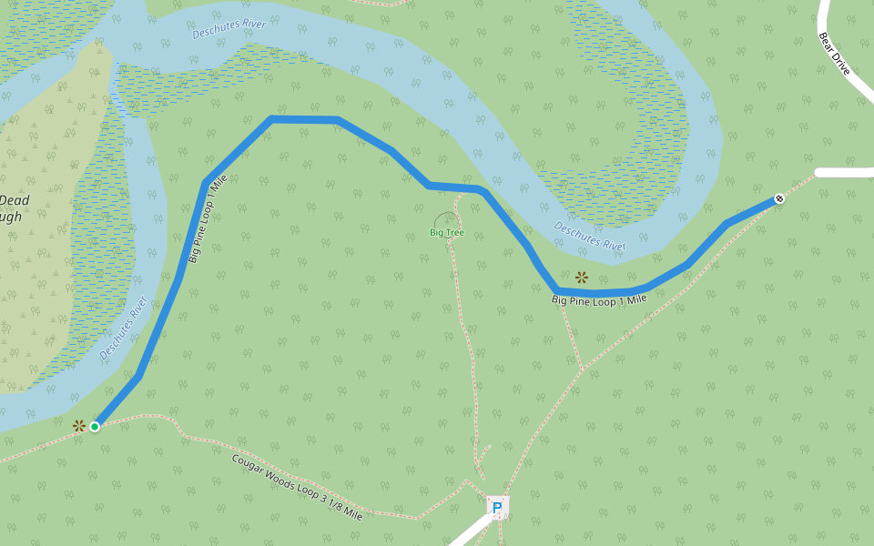 Big Pine Loop 1 Mile Walking And Running Trail - Bend, Oregon | Pacer