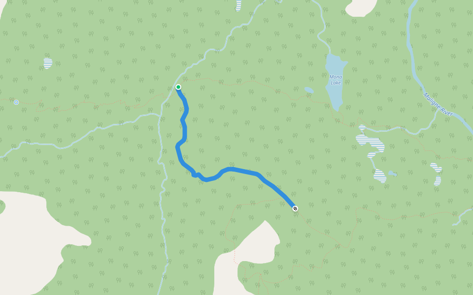 Evelyn Creek/Skyline Trail | Walking Map