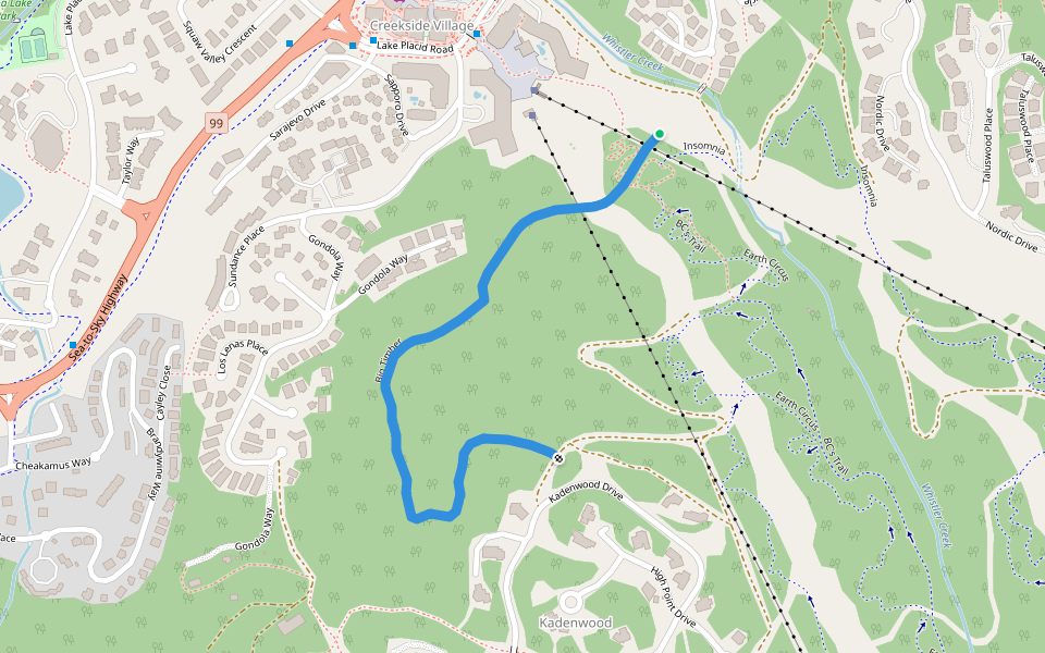 Big Timber Hiking Trail - Whistler, British Columbia | Pacer