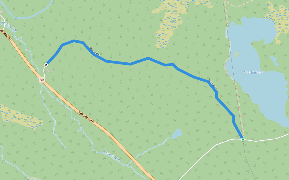 Snarveien Walking And Running Trail - Tynset, Innlandet | Pacer