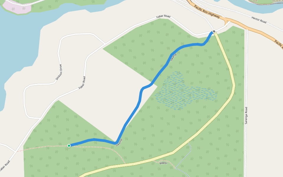 Swamp Hiking Trail - Port Alberni, British Columbia | Pacer