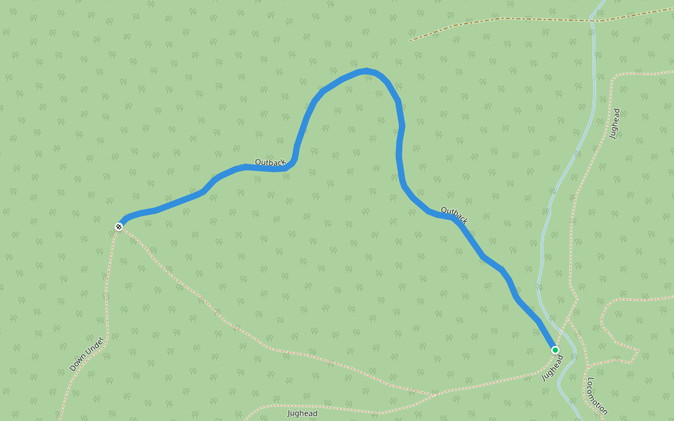 Outback Walking And Running Trail - Errington, British Columbia | Pacer