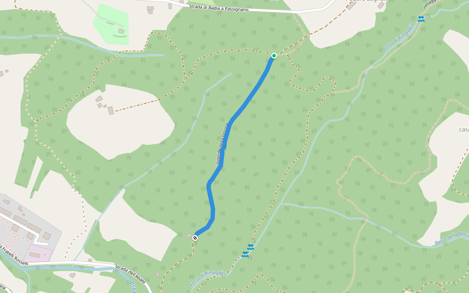 Pool path Walking And Running Trail - Toscana | Pacer