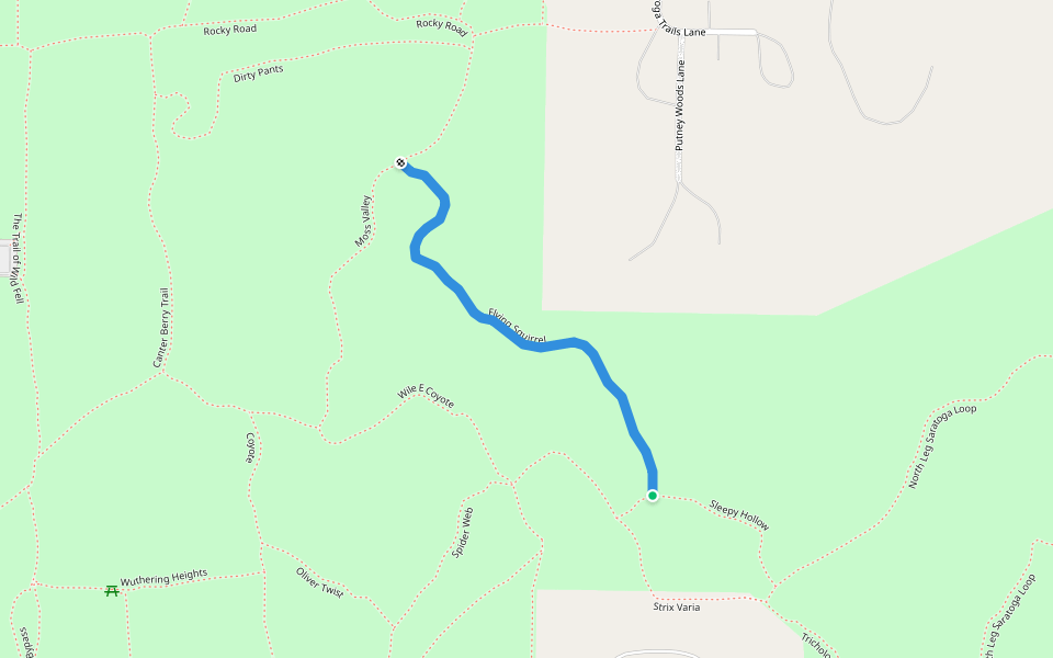 Flying Squirrel in Washington | Walking Map