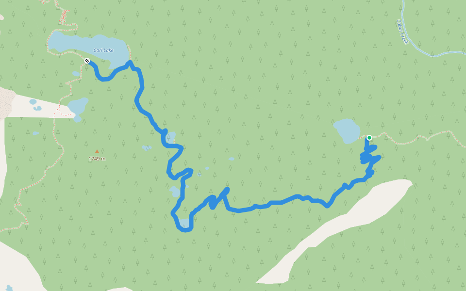 Carl Lake Trail #4003 | Walking Map