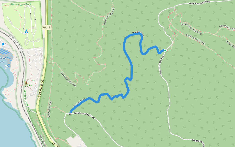 Double Down Hiking Trail - Bellingham, Washington | Pacer