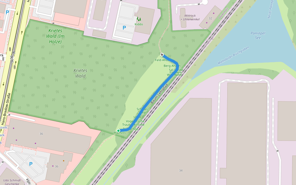 Tree nature trail Walking and Running - Bremen | Pacer