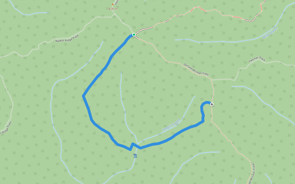 Bob Gordon Track Hiking - Auckland | Pacer