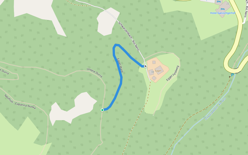 Eggel Wald | Walking Map