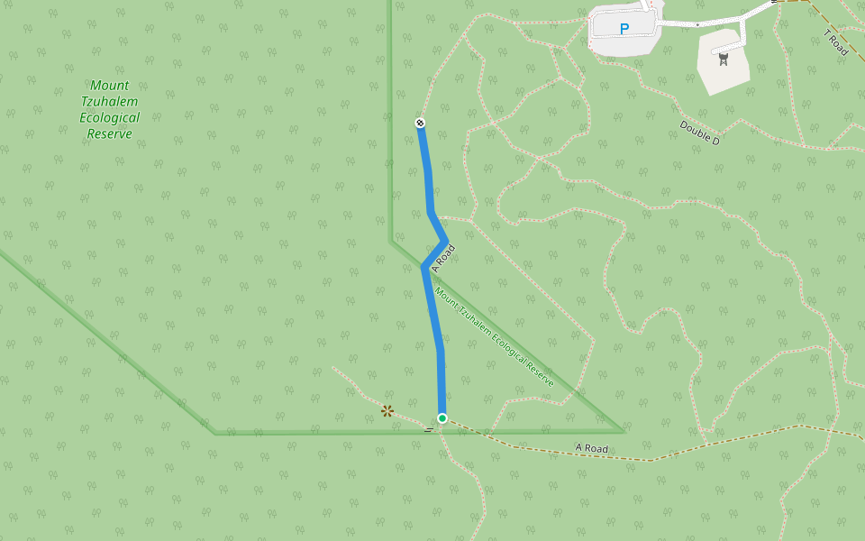 A Road Walking and Running - Duncan, British Columbia | Pacer