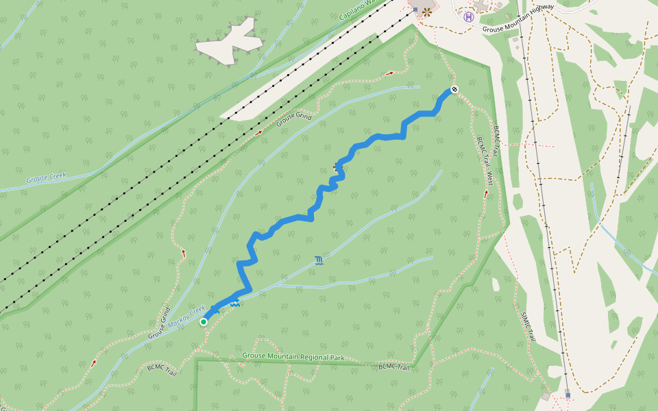 Flint and Feather Trail Hiking - North Vancouver, British Columbia | Pacer