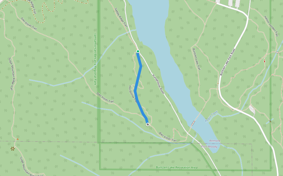 Horseshoe Trail Walking and Running - Anmore, British Columbia | Pacer